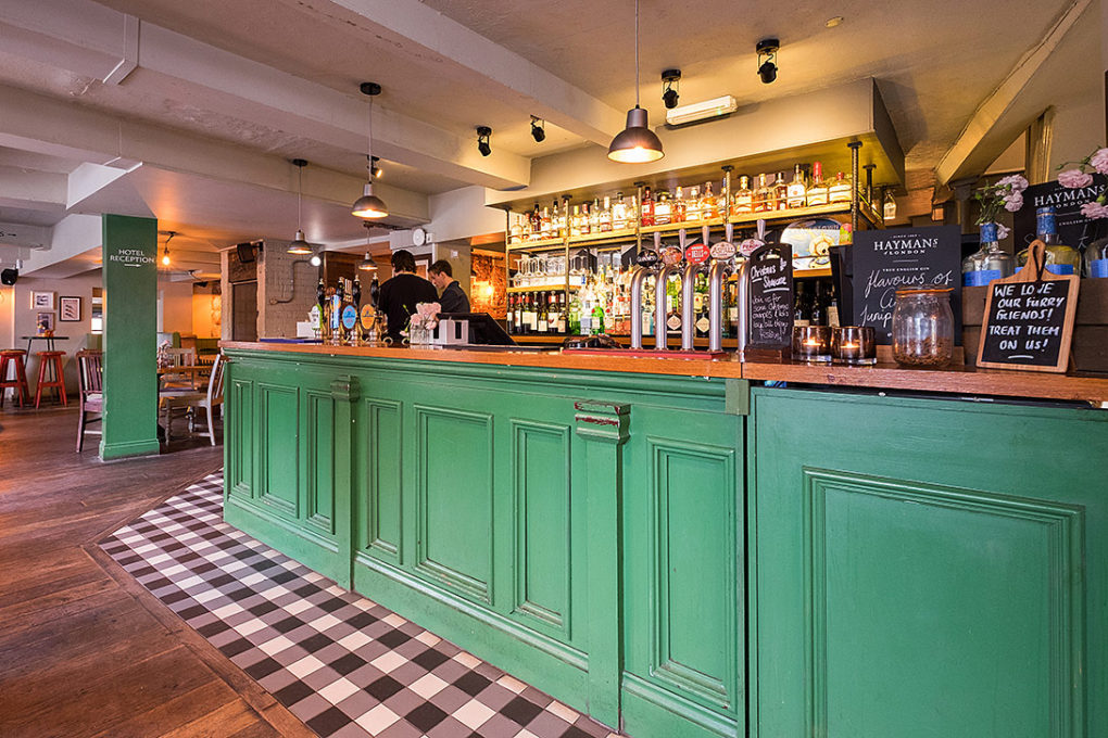 THE BEAR – ESHER - Tom Gold Photography